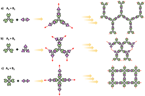Educational series: turning monomers into crosslinked polymer networks ...