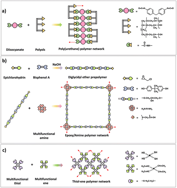 Educational series: turning monomers into crosslinked polymer networks ...