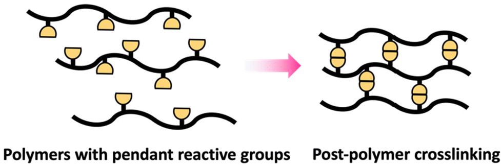 Educational series: turning monomers into crosslinked polymer networks ...