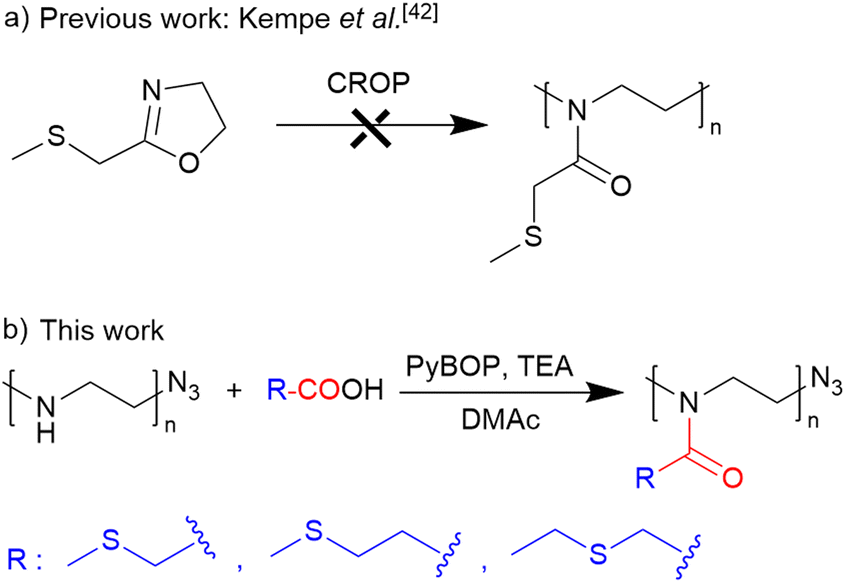 Thioether-based poly(2-oxazoline)s: from optimized synthesis to ...