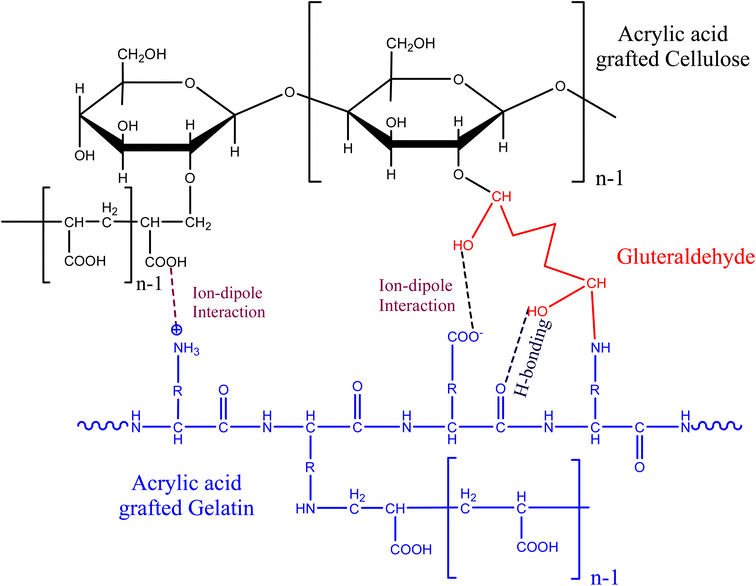 Synthesis and characterization of silver nanoparticle embedded ...