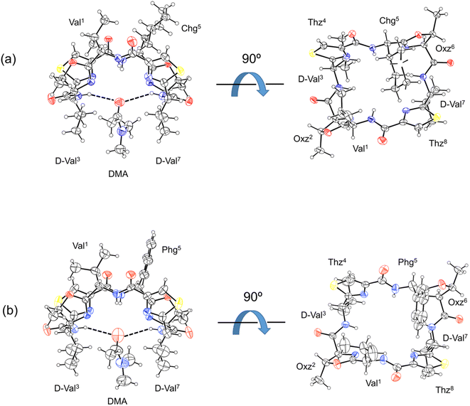 Experimental evidence for CH⋯π interaction-mediated stabilization of ...