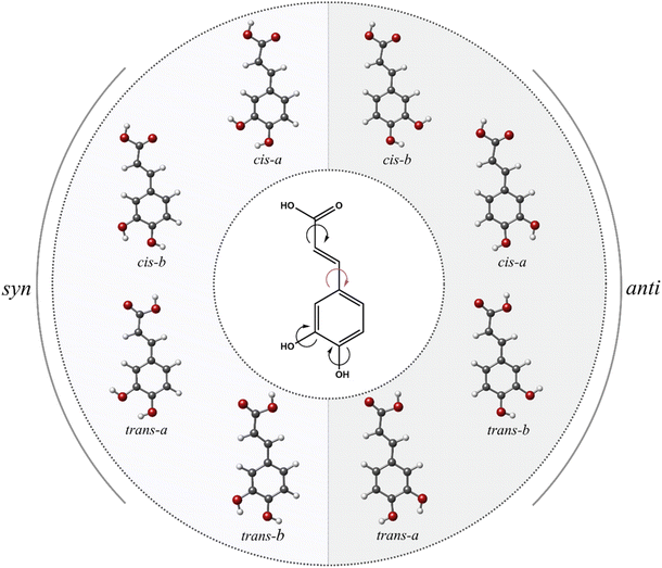 The eight structures of caffeic acid: a jet-cooled laser ablated ...