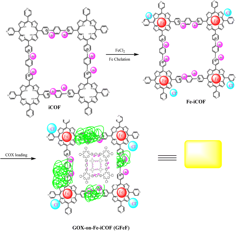 Recent advances in covalent organic frameworks (COFs) for wound healing ...
