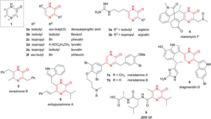 2(1 H )-Pyrazinones from acyclic building blocks: methods of synthesis ...