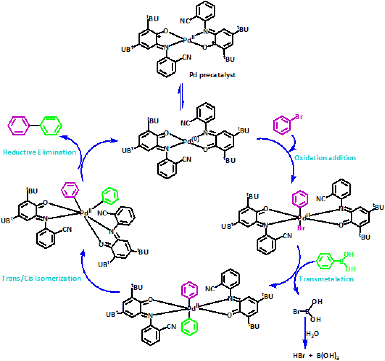 The role of a redox-active non-innocent ligand in additive-free C–C ...