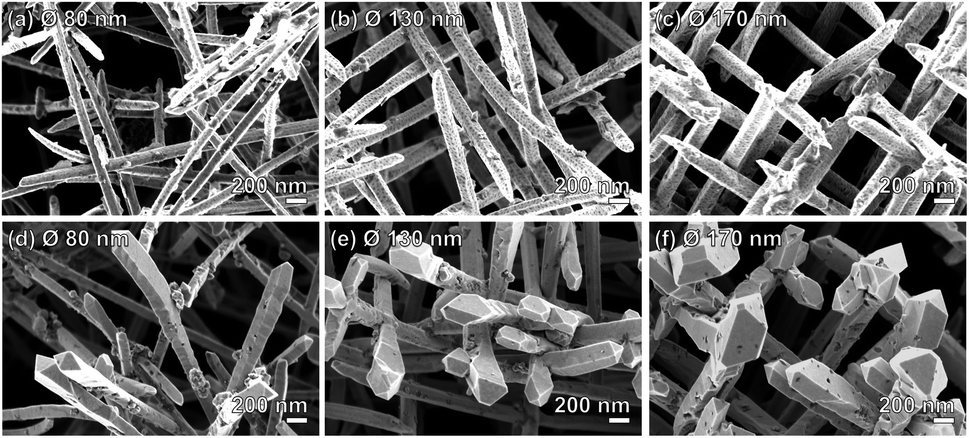 Three-dimensional free-standing gold nanowire networks as a platform for catalytic applications ...