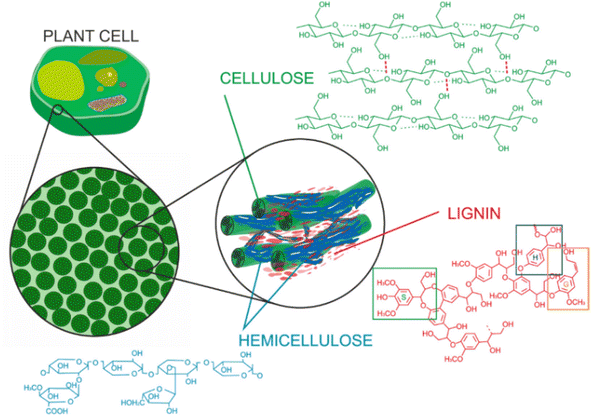 Functional surfaces, films, and coatings with lignin – a critical ...