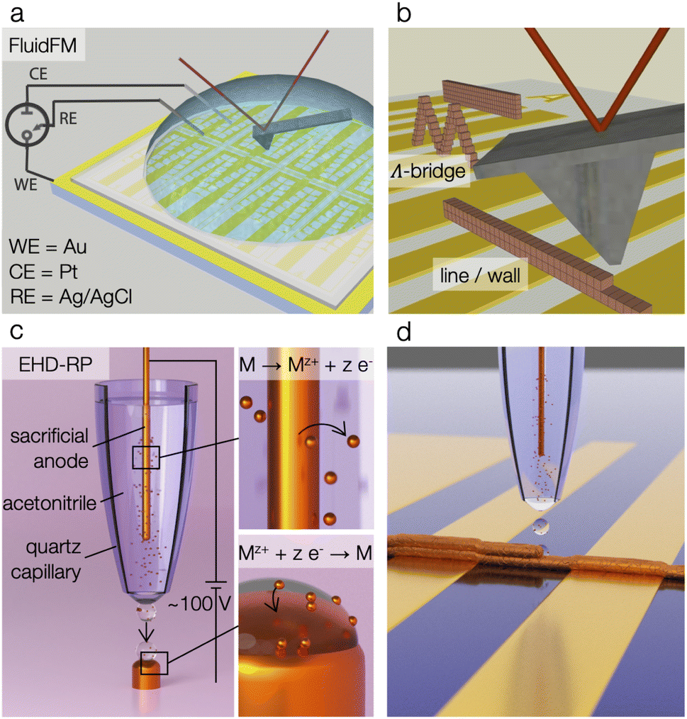 Microstructure-driven electrical conductivity optimization in ...
