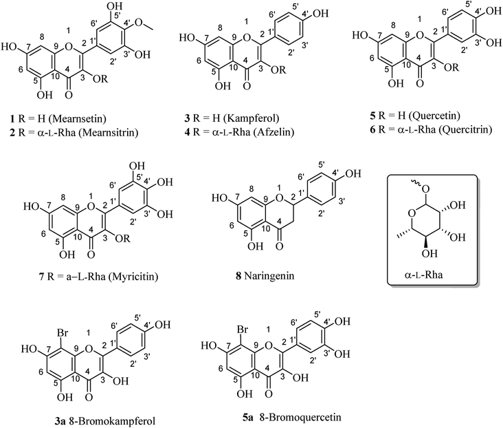 α-Glucosidase inhibitory activities of flavonoid derivatives isolated ...