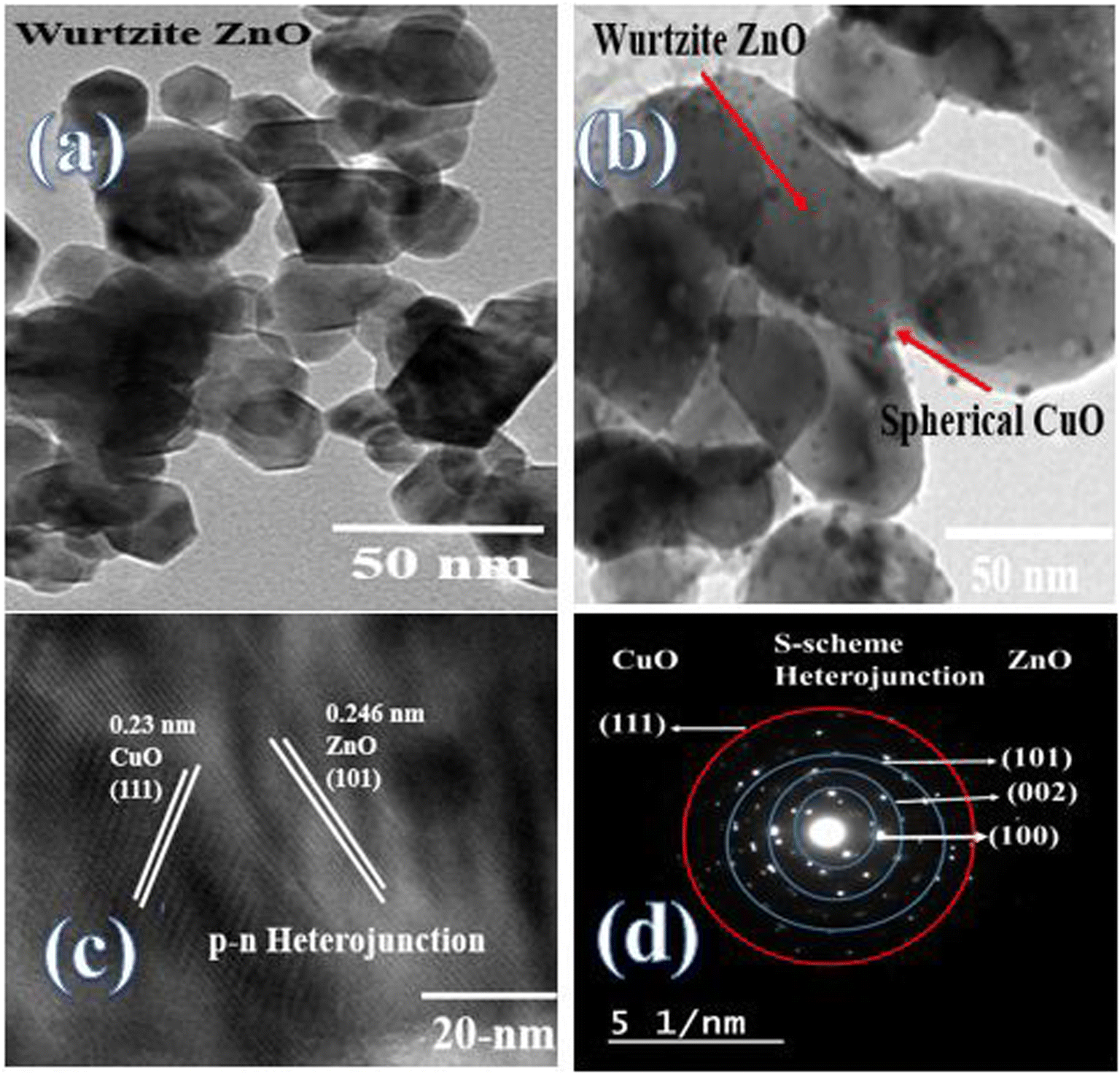 Engineering S-scheme CuO/ZnO heterojunctions sonochemically for eradicating RhB dye from ...