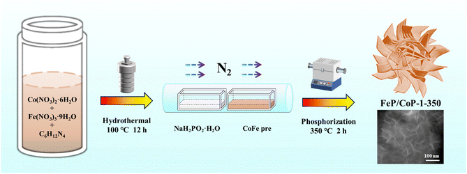 Constructing interface engineering and tailoring a nanoflower-like FeP ...