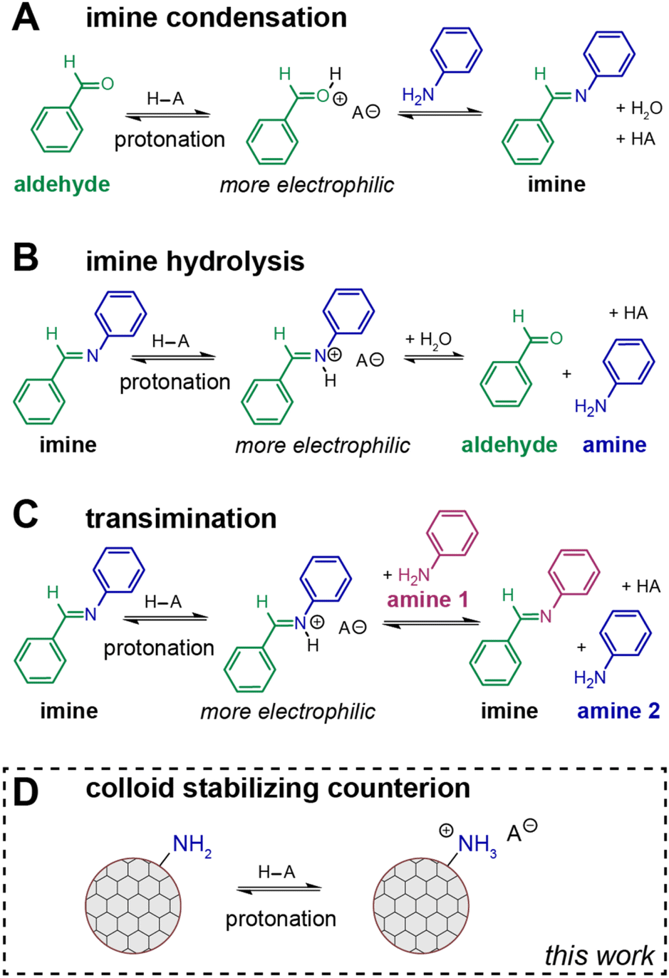 COF-300 synthesis and colloidal stabilization with substituted benzoic ...