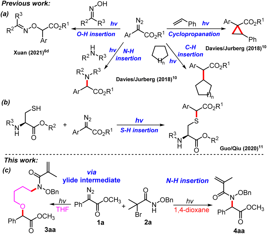 Visible-light-promoted N–H functionalization of O-substituted ...