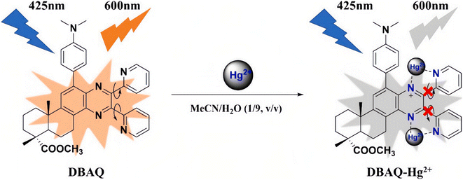 Recent advances in fluorescent materials for mercury( ii ) ion ...