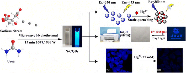 Recent advances in fluorescent materials for mercury( ii ) ion ...