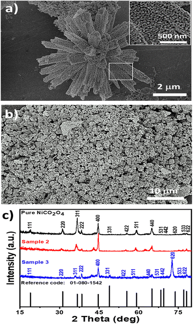 Transforming NiCo 2 O 4 nanorods into nanoparticles using citrus lemon ...