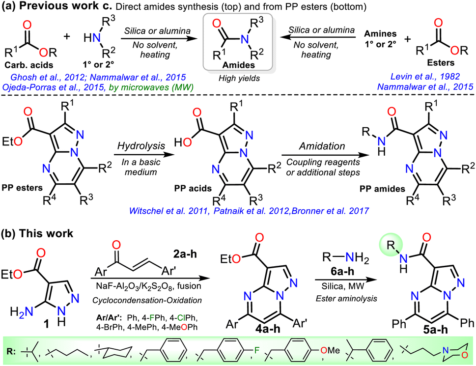 Synthesis of structural analogues of Reversan by ester aminolysis: an ...