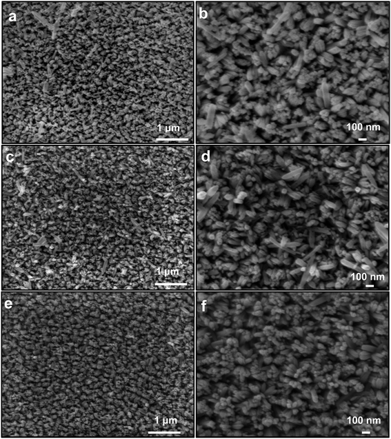 Enhanced electrocatalytic oxygen redox reactions of iron oxide nanorod ...