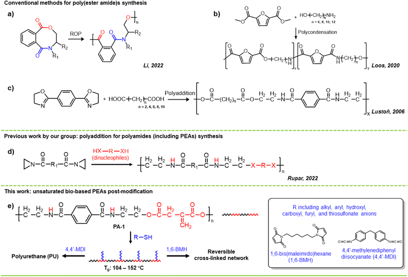 Rapid synthesis of functional poly(ester amide)s through thiol–ene ...