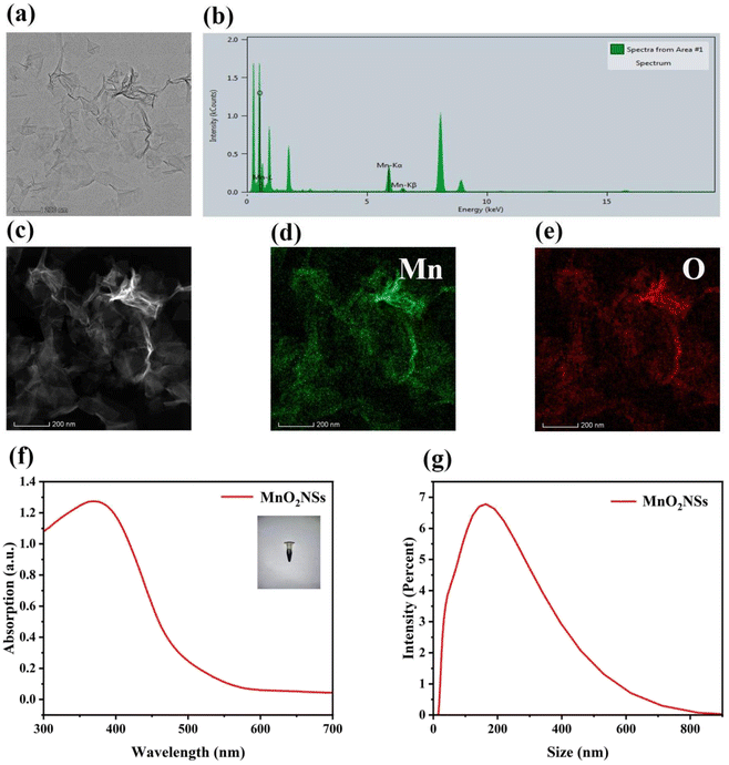 Metabolomics analysis of MnO 2 nanosheets CDT for breast cancer cells ...