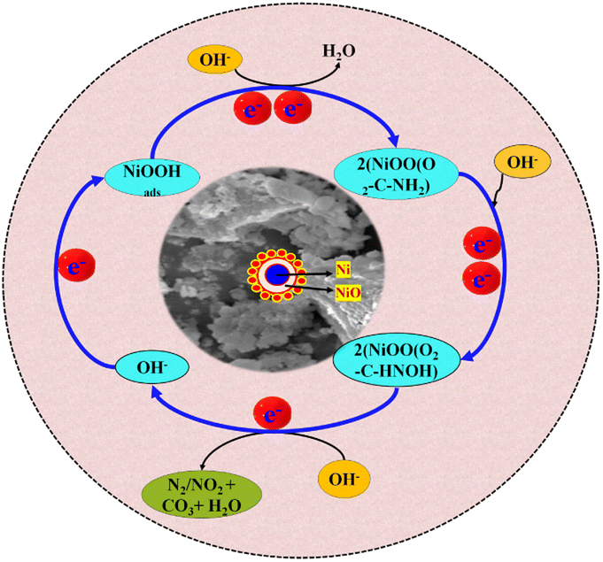 Spherical Ni/NiO nanoparticles decorated on nanoporous carbon (NNC) as ...