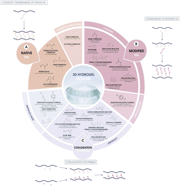 Injectable fillers: current status, physicochemical properties ...