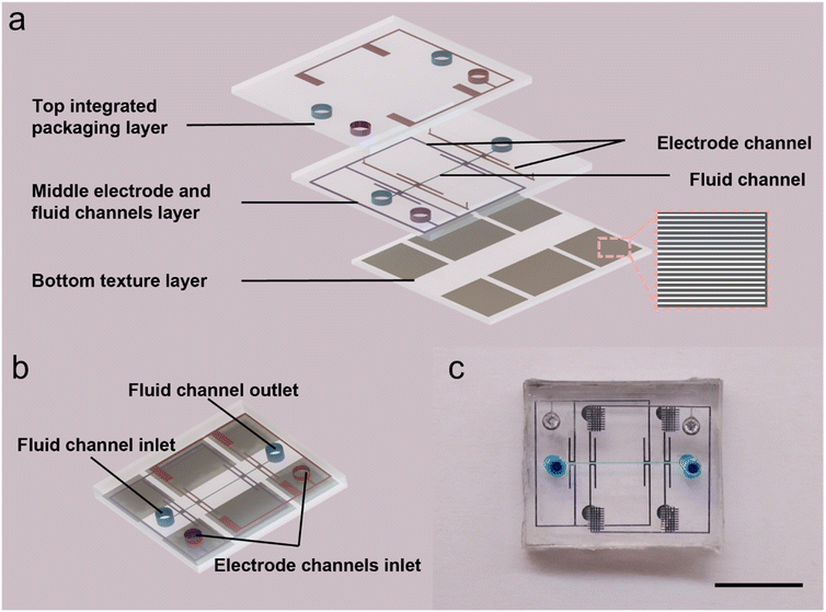 Texture-structure-based liquid metal filling for blind-end ...