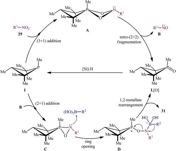 Reductive coupling of nitro compounds with boronic acid derivatives: an ...
