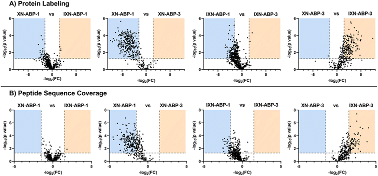 Affinity- and activity-based probes synthesized from structurally ...