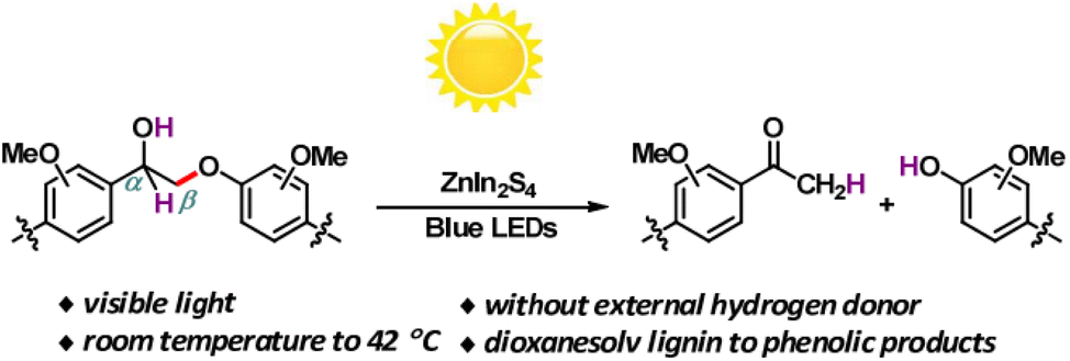 Thermal, photonic, and electrocatalysis in lignin depolymerization research - RSC Advances (RSC ...