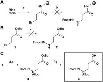 Azapeptide activity-based probes for the SARS-CoV-2 main protease ...