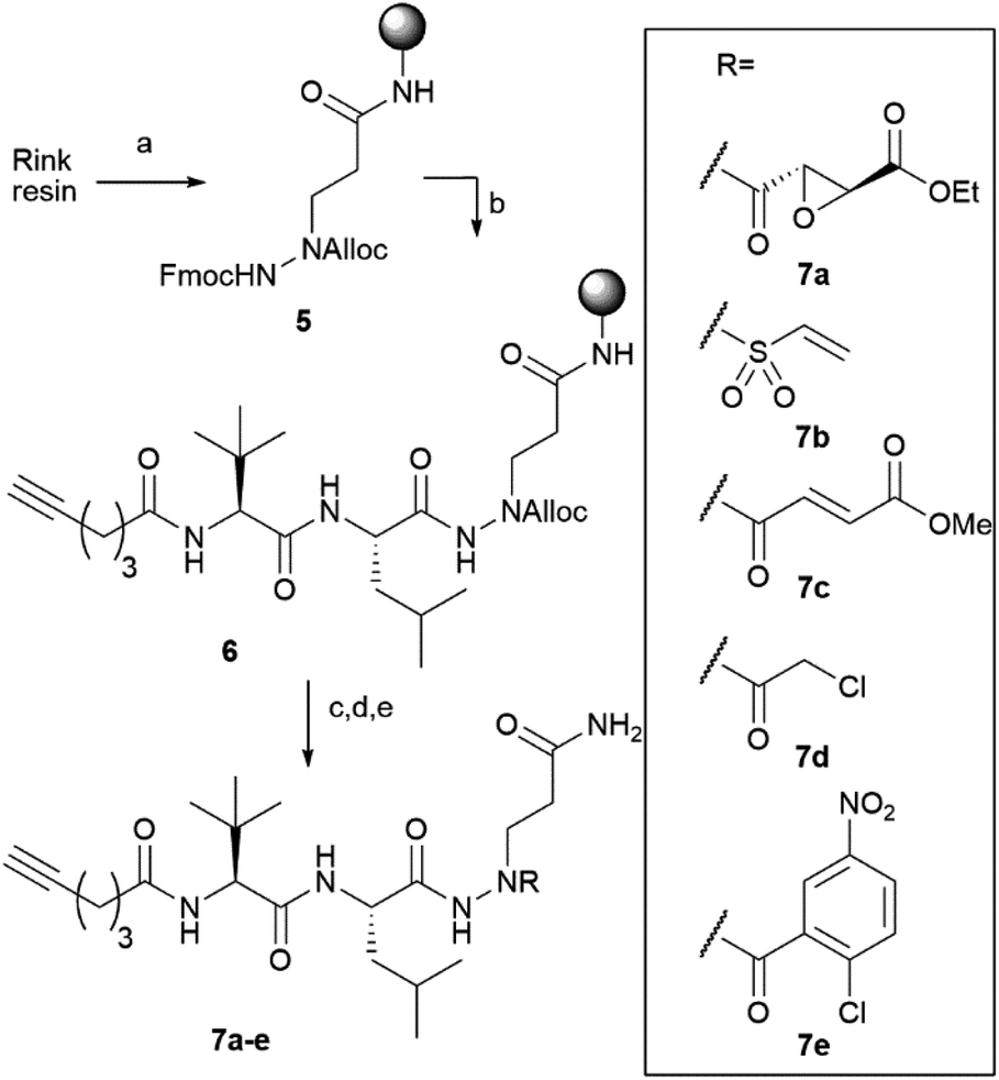 Azapeptide activity-based probes for the SARS-CoV-2 main protease ...