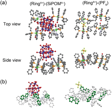 Supramolecular multi-electron redox photosensitisers comprising a ring ...