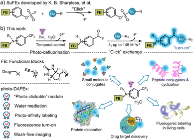 Photo-induced defluorination acyl fluoride exchange as a fluorogenic ...