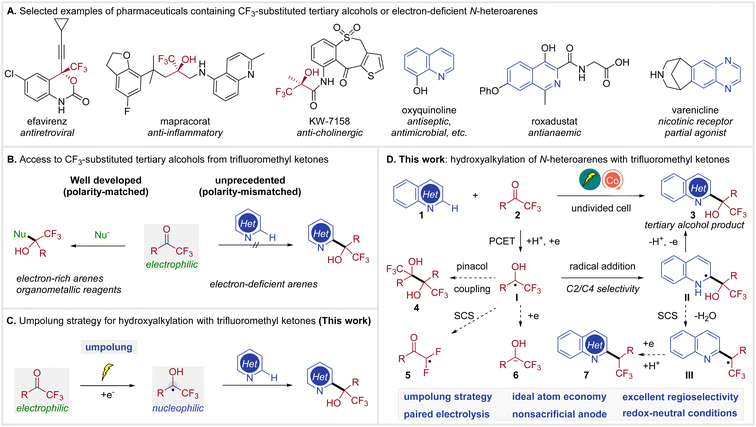 Cobalt-electrocatalytic C–H hydroxyalkylation of N -heteroarenes with ...
