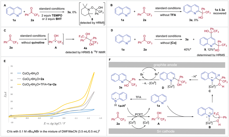 Cobalt-electrocatalytic C–H hydroxyalkylation of N -heteroarenes with ...
