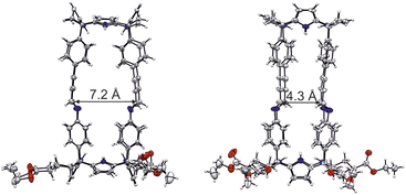 Influence of the solvent in the self-assembly and binding properties of ...