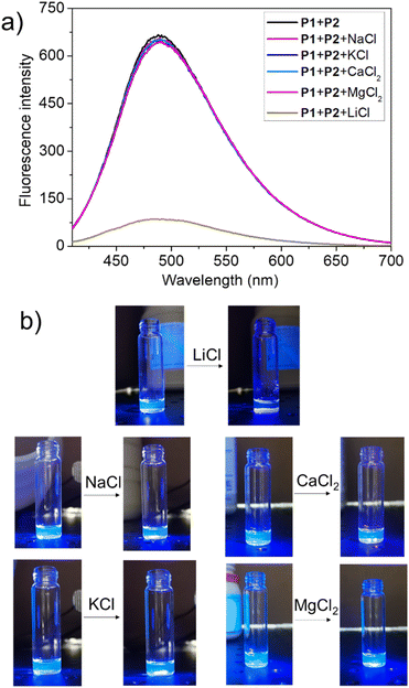 Fluorescent copolymer aggregate sensor for lithium chloride - Chemical ...