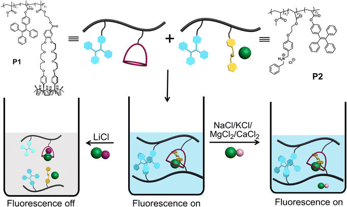 Fluorescent copolymer aggregate sensor for lithium chloride - Chemical ...