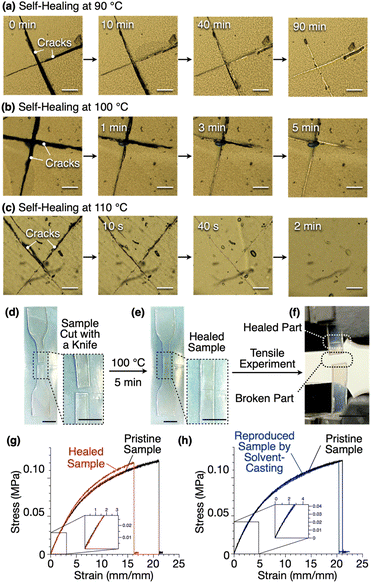 Overcoming the entropy of polymer chains by making a plane with ...