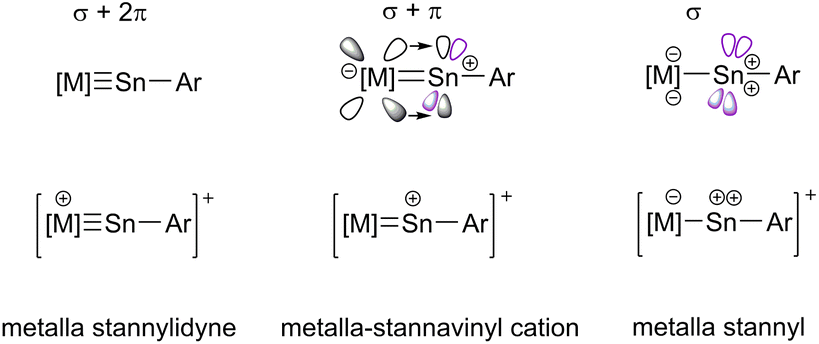 Heavy metalla vinyl-cations show metal–Lewis acid cooperativity in ...