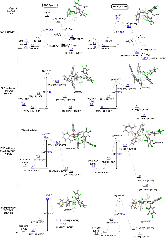 Experimental and computational insights into the mechanism of FLP ...