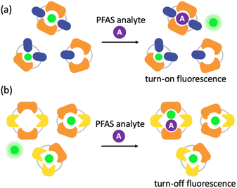 Detection and differentiation of per- and polyfluoroalkyl substances ...