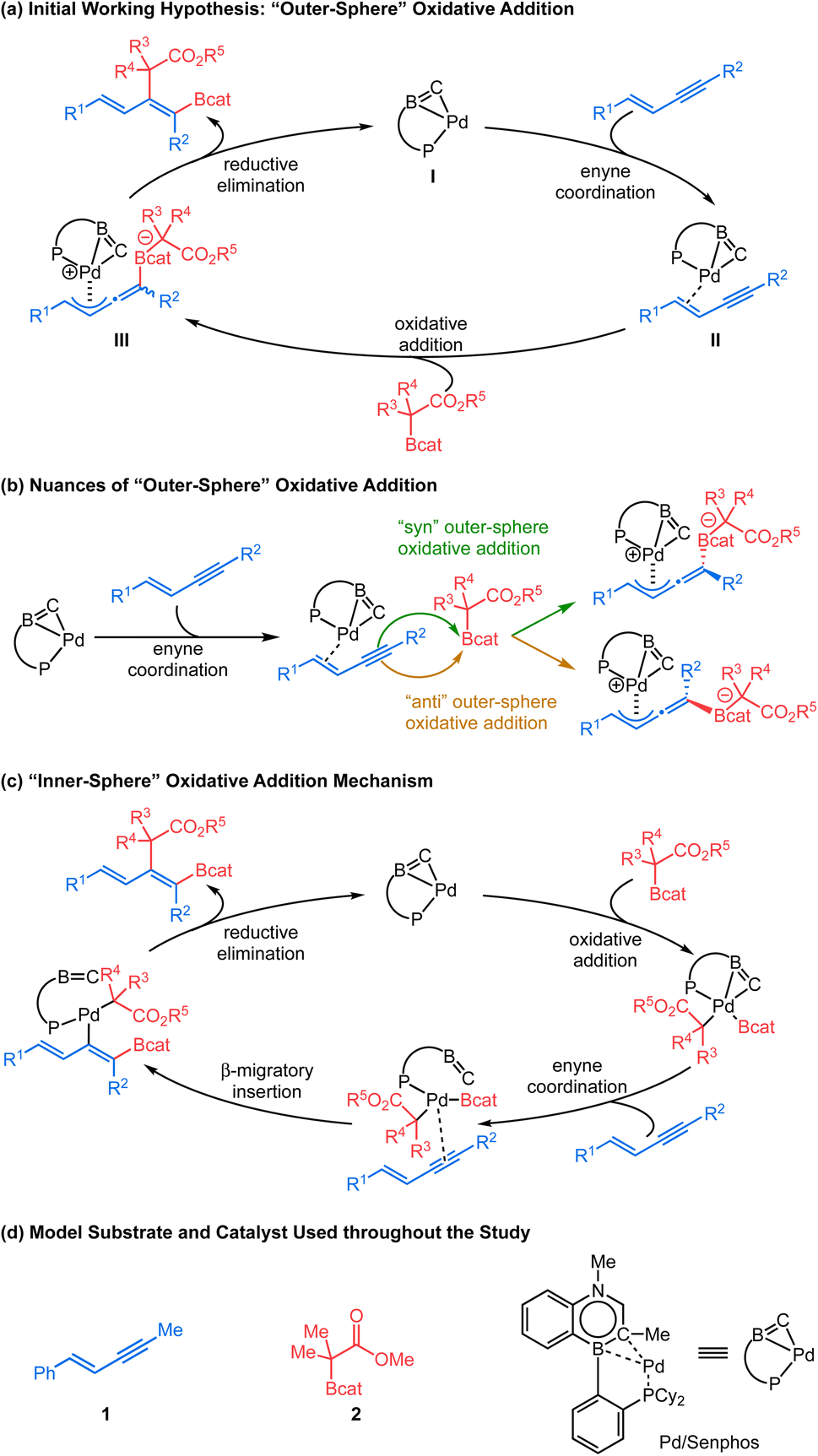 A syn outer-sphere oxidative addition: the reaction mechanism in Pd ...
