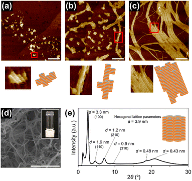 Individually separated supramolecular polymer chains toward solution ...