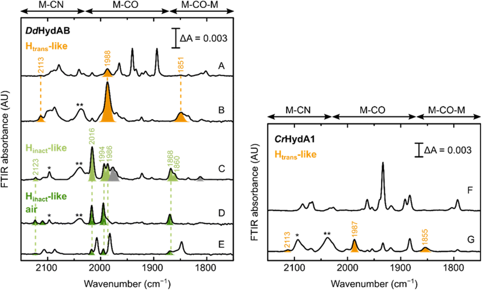 Binding of exogenous cyanide reveals new active-site states in [FeFe ...