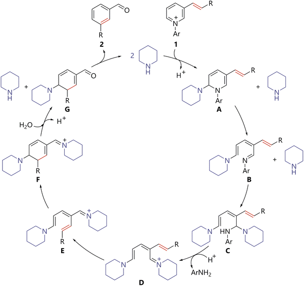 Streptocyanine as an activation mode of amine catalysis for the ...