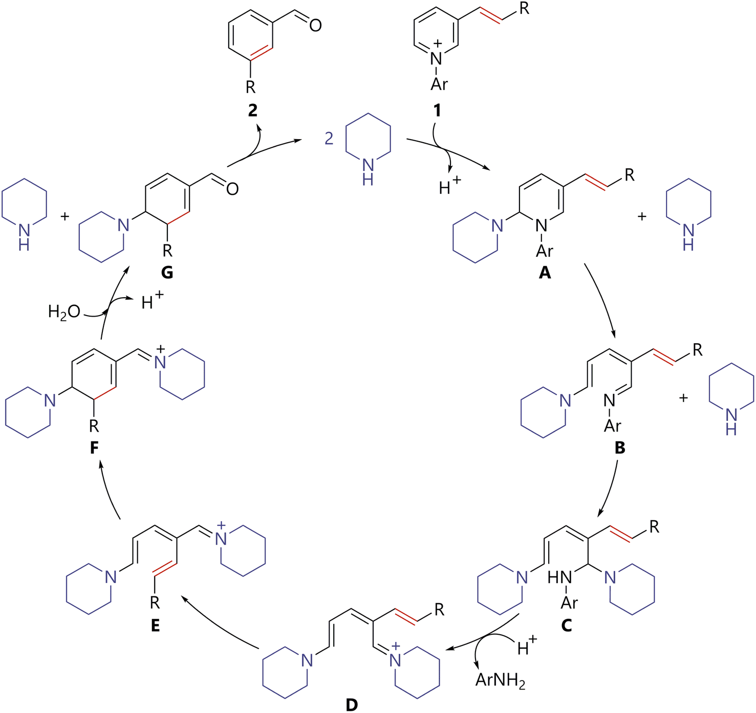 Streptocyanine as an activation mode of amine catalysis for the ...