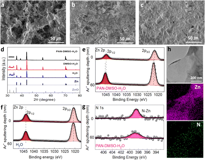 Coordinating zincophilic sites and a solvation shell for a dendrite ...